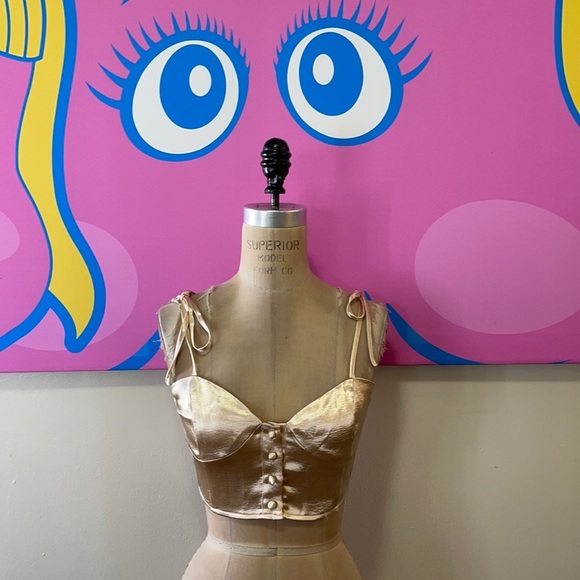 Nasty Gal | Tops | Nasty Gal Champaign Satin Crop Bustier Top | Poshmark